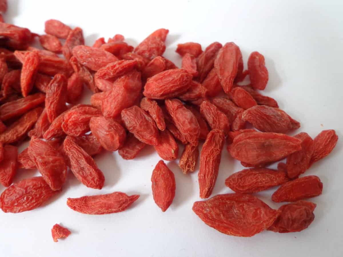 Gojibeeren Bildergalerie – Superfoods